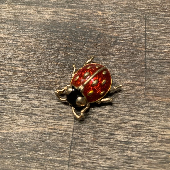 Jewelry | Super Cute Vintage 14k Gold Enameled Lady Bug Brooch Pin ...